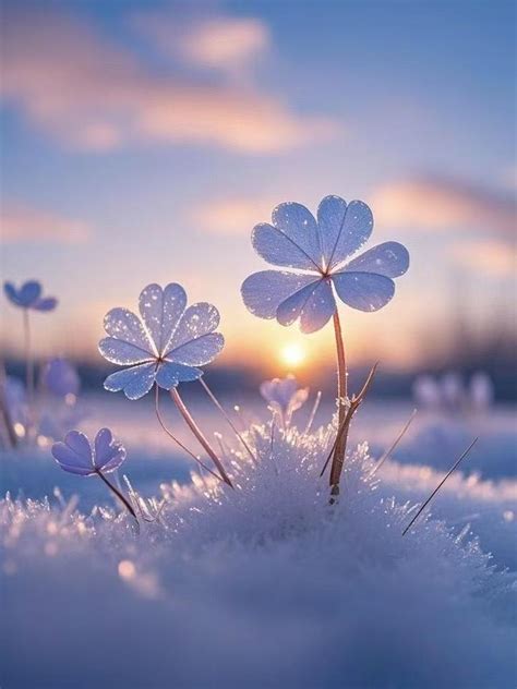 中国科学院rfect Sirna转染试剂成功转染人骨肉瘤细胞（u2os） 知乎