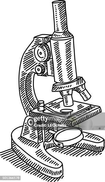 Microscope Drawing Photos And Premium High Res Pictures Getty Images