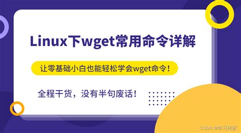 linux下wget命令详解 csdn博客