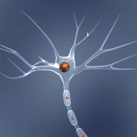 Microarray Result Researchgate