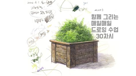 30차시 색연필로 그리는 매일매일 드로잉 수업화분 그리기 Youtube 30차시 색연필로 그리는 매일매일 드로잉 수업화분 그리기 Youtube
