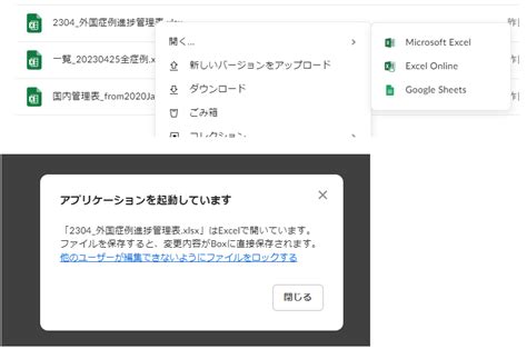 cannot open microsoft excel from a browser in the application box