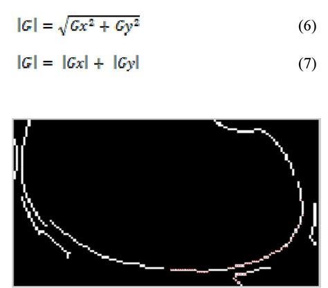 The Convolution Kernels When Applied To Input Image