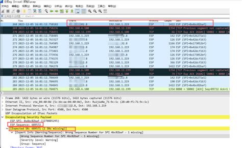 【ipsec系列】ipsec建立成功，访问资源丢包
