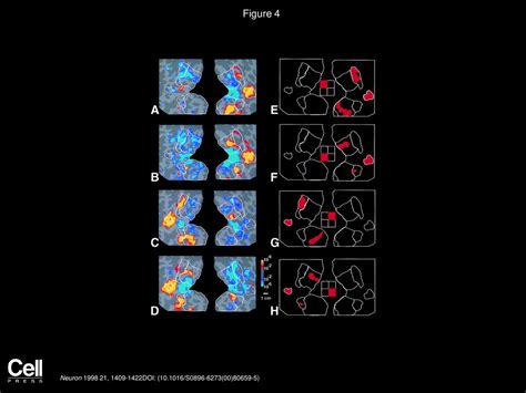 The Retinotopy Of Visual Spatial Attention Ppt Download