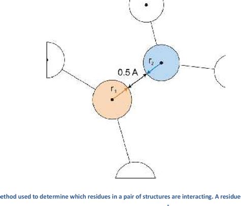 Figure 1 From Prediction Of Protein Protein Interactions From Primary Structure Using A Random