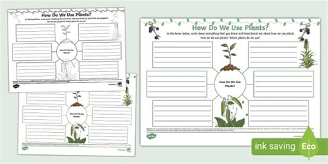 How Do We Use Plants Mind Map
