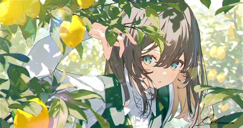 conda create Tatsukyouのblog