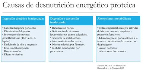 El Papel De La NutriciÓn En La Mejora Del Estado Funcional En La Cirrosis