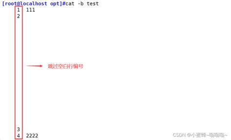 linux目录与文件操作指南：命令与结构解析 csdn博客
