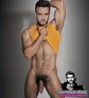 Post Fakes Gaymalikfakes Liam Payne Music One Direction