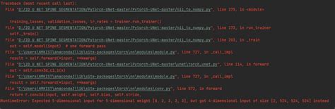 Input And Target Shape Issue 9 Johschmidt42 PyTorch 2D 3D UNet