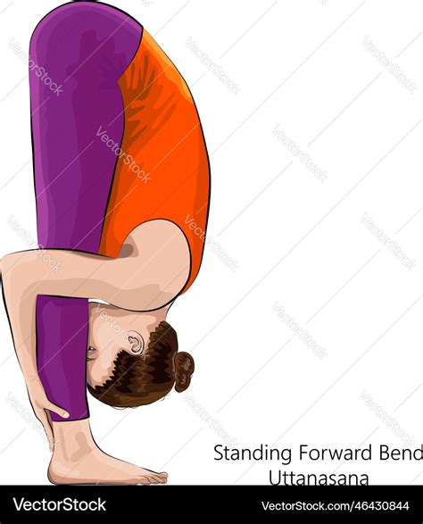Uttanasana Standing Forward Bend Uttanasana Standing Forward Royalty