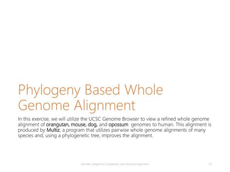 Ppt Sequence Comparison And Genome Alignment In The Human Genome Powerpoint Presentation Id