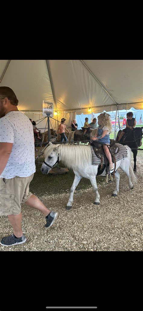 Pattersons Pony Rides Llc Arcadia Oh