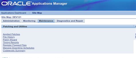 how to use patch wizard in oracle ebs environment for analysing the