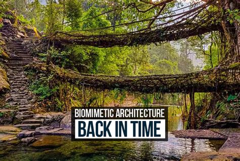 15 Projects That Showcase Sustainability Through Landscape Design Rtf