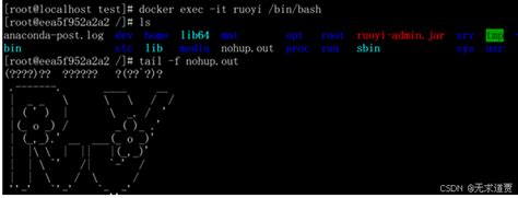 Docker部署前后端若依项目实战，不使用docker Compose版本，超详细，直接复制粘贴可用若依 Docker部署 Csdn博客