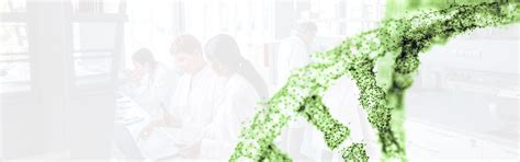 Making The Most Of Your Ngs Data Understanding Metrics For Target Enriched Ngs