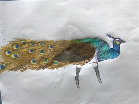 Prehistoric Peacock By Neaji On Deviantart