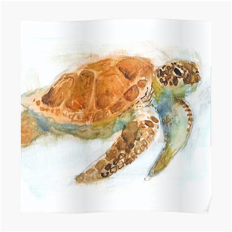 Endangered Turtle Posters Redbubble