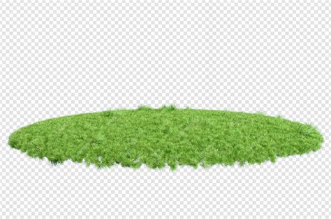 Premium Psd Various Types Of Grass Rendering Isolated
