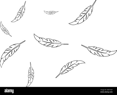 Feather Background Wallpaper Ilustration Vector Stock Vector Image And Art Alamy