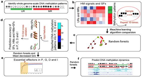 framework used to identify genomic region specific and cell