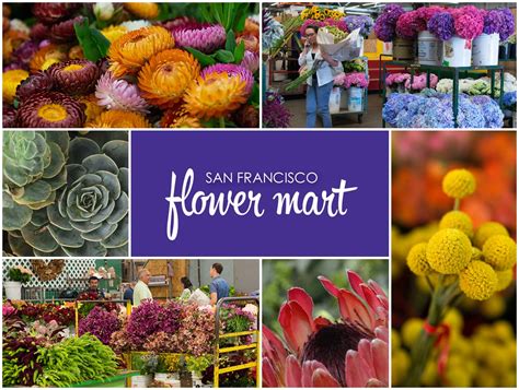 Flower Market 6th Street San Francisco Best Flower Site