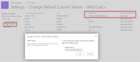 sharepoint column type support matrix for default values at library and