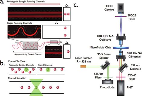 Particle Focusing In Staged Inertial Microfluidic Devices For Flow Cytometry Abstract