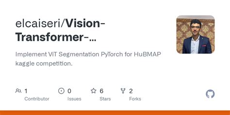 vision transformer segmentation hubmap pytorch vit segmentation