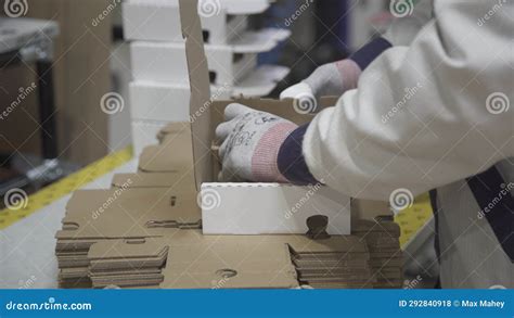 Manual Assembly Of A Cardboard Box At The Factory Production Of