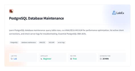Postgresql 데이터베이스 유지 관리 방법 Labex