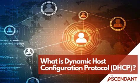 Understanding Dhcp Domain Host Configuration Protocol