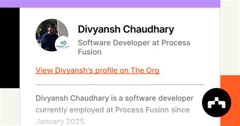 Divyansh Chaudhary Software Developer At Process Fusion The Org