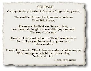 Oasis Writing Link™ Amelia Earharts Courage