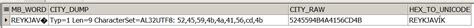oracle11g why one al32utf8 character not display the i acute yet