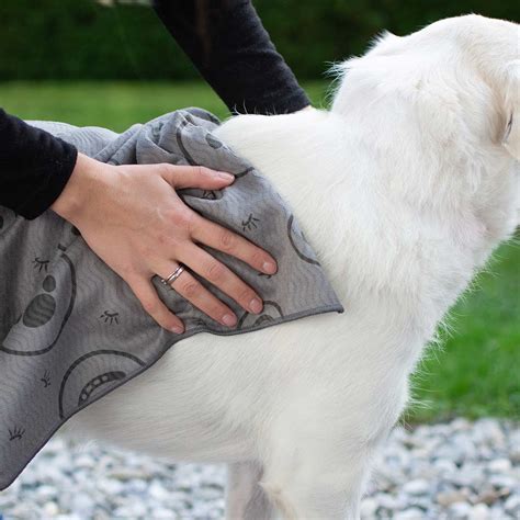 Pet Enjofil Halo Middleeast