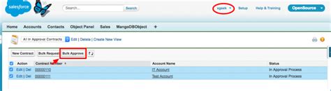 Bulk Approval Processing From List View In Salesforce Xgeek