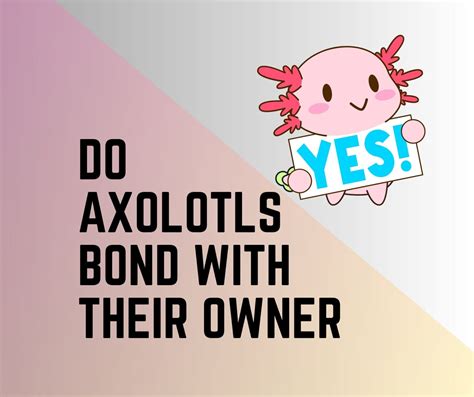 How To Feed Worms To Axolotl A Guide To Worm Farming Amphibian Life