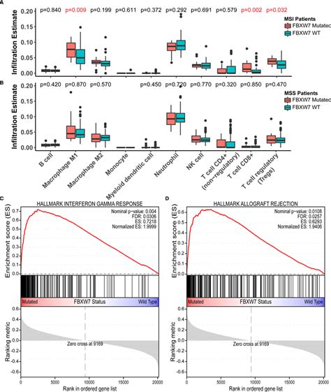 Immune Cell Infiltration Analysis And Gene Set Enrichment Analysis In Download Scientific