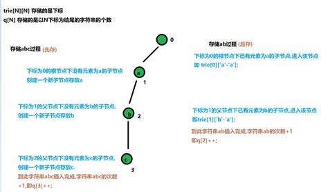 acwing 835 数据结构 trie字符串统计 c acwing