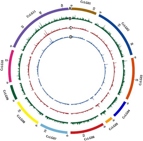 Genotyping By Sequencing Of Three Mapping Populations For Identification Icrisat Center Of