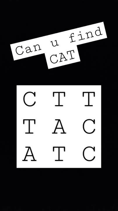 Can You Find Cat Puzzlegame Shorts Puzzletime Youtube