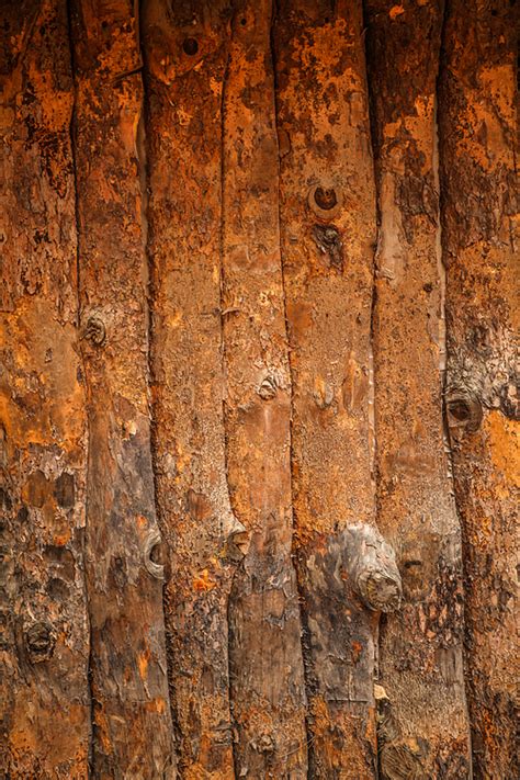 세로로 세워진 나무의 텍스쳐 유토이미지 상세페이지 베이직샵 사진 20087312