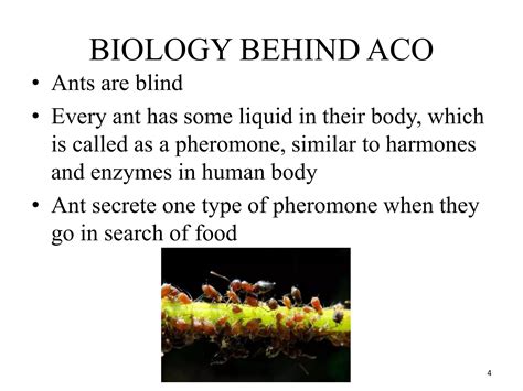 Ant Colony Optimization Aco Pptx