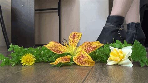 Toe Tapping And Crush Flowers 4t Not An Angel Clips4sale