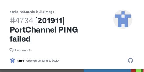201911 PortChannel PING Failed Issue 4734 Sonic Net Sonic